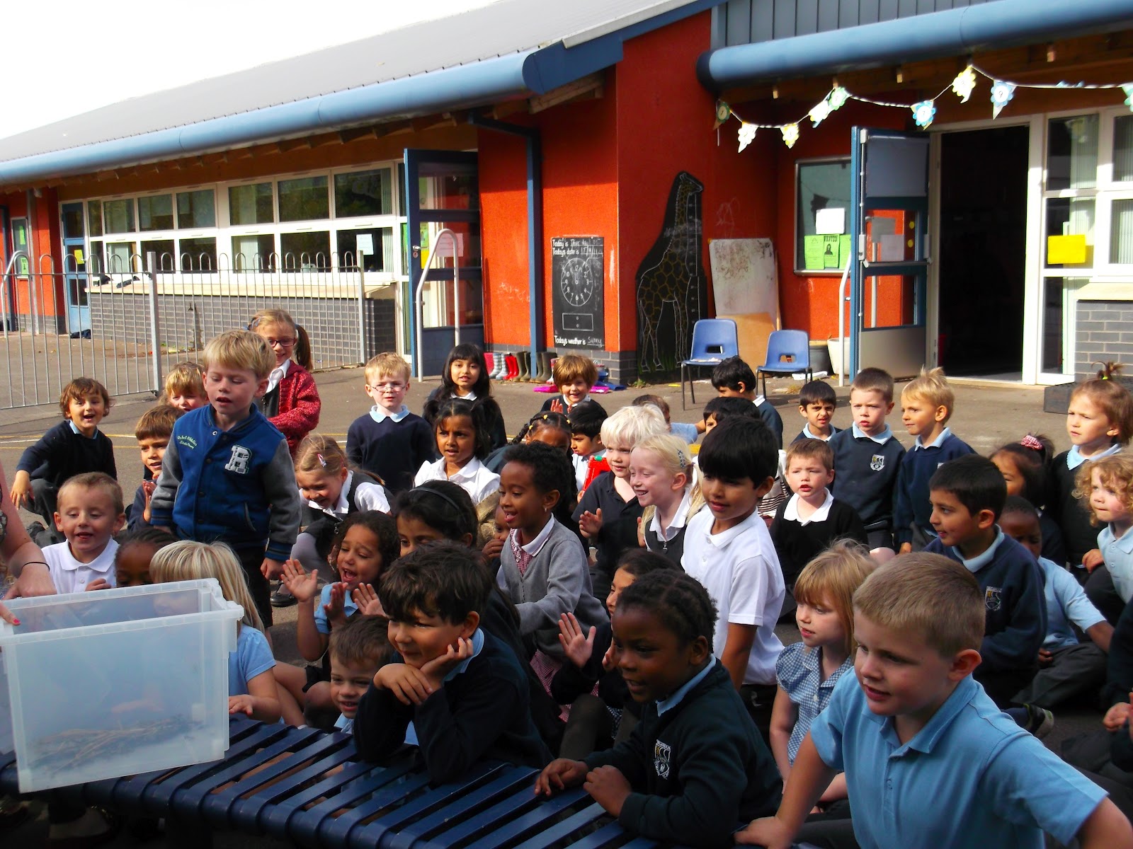 Begbrook Primary School Year 1: Caterpillars and butterflies